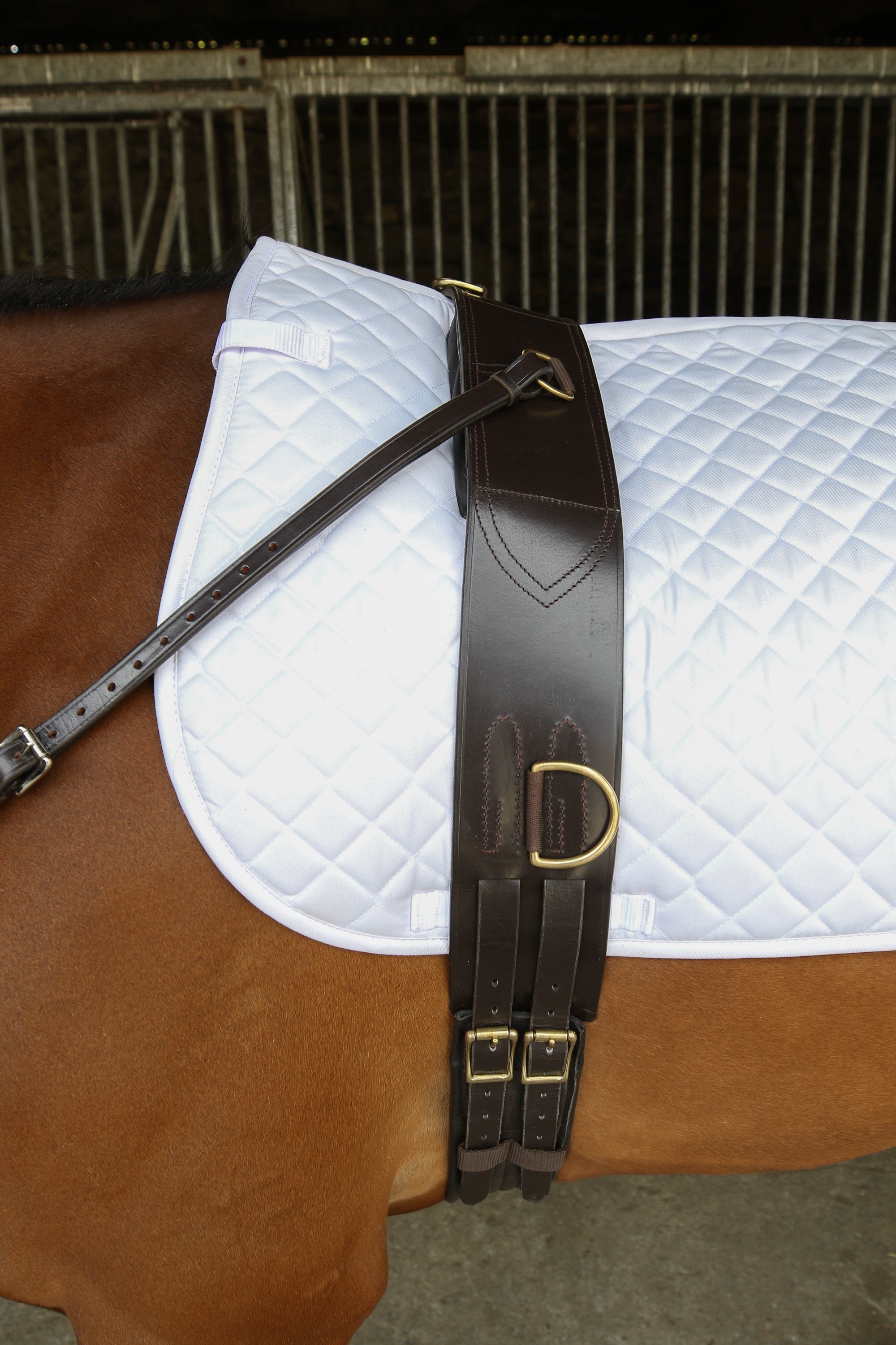 Breeze Up Leather Breaking Roller - Brown – TRI Equestrian