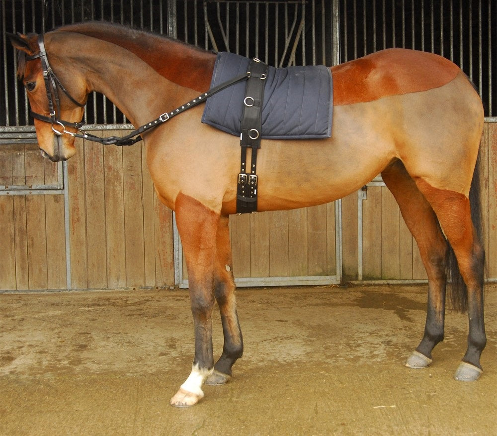 Celtic Equine Nylon Breaking Set - Black – TRI Equestrian