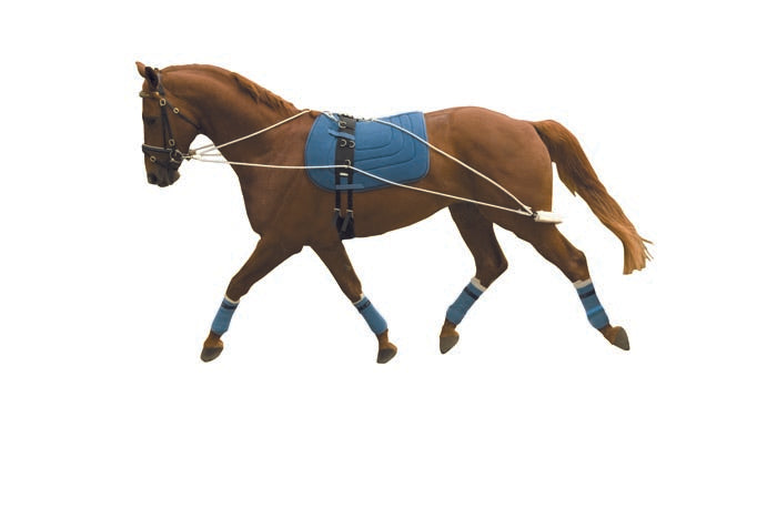 Weatherbeeta Kincade Lunging Training System – TRI Equestrian