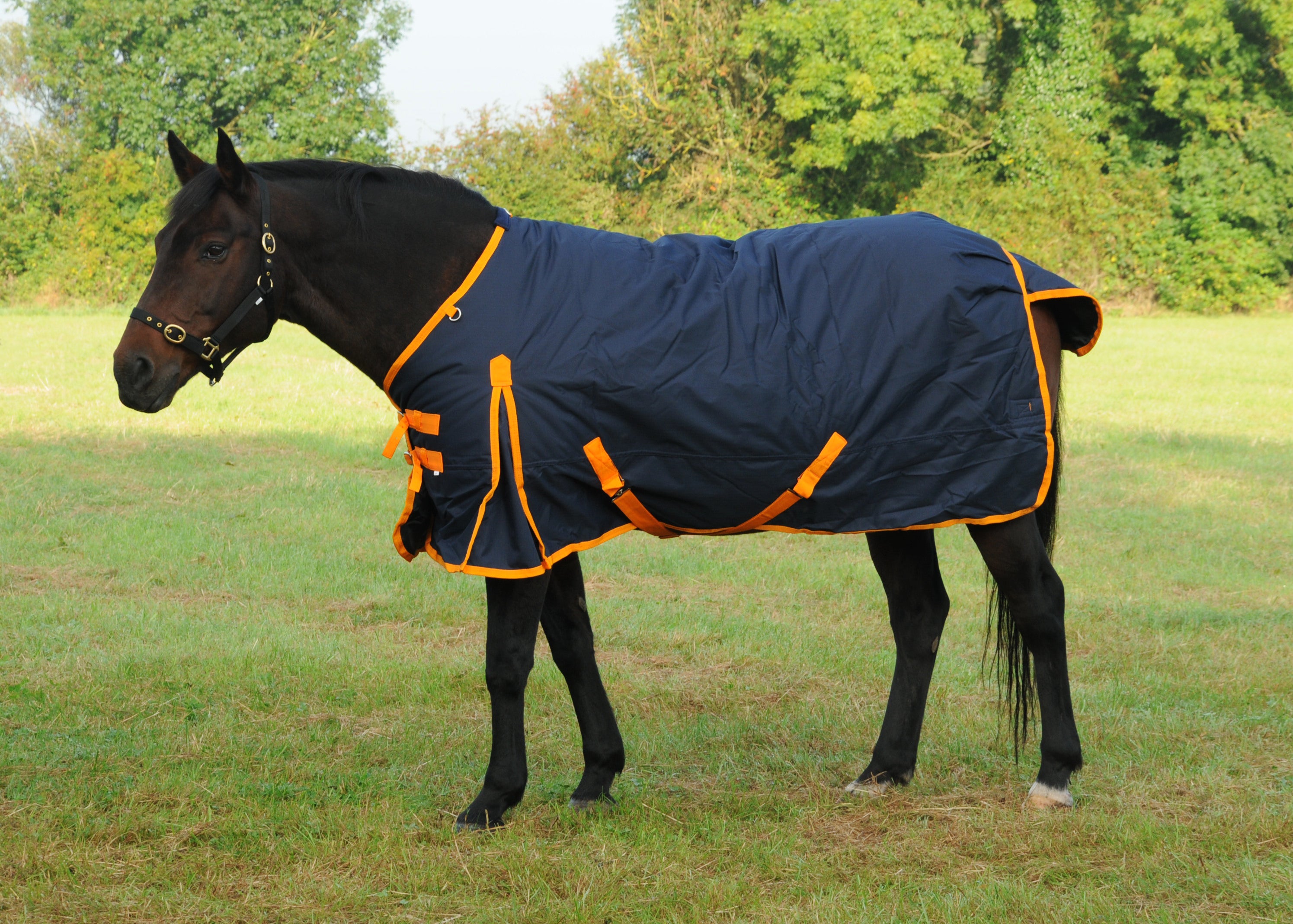 TRI Arkle Standard Neck Heavy Weight Turnout 350g – TRI Equestrian