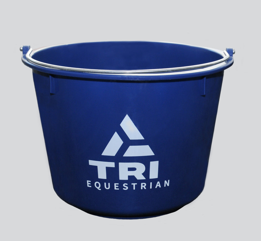 SandStorm – TRI Equestrian