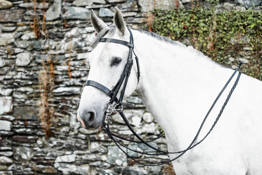 Mackey Classic Double Bridle Black — TRI Equestrian