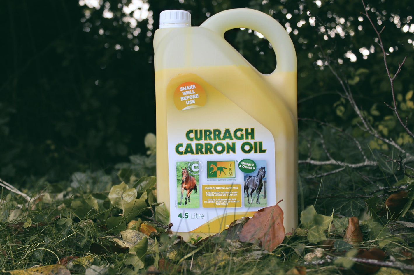 SandStorm – TRI Equestrian