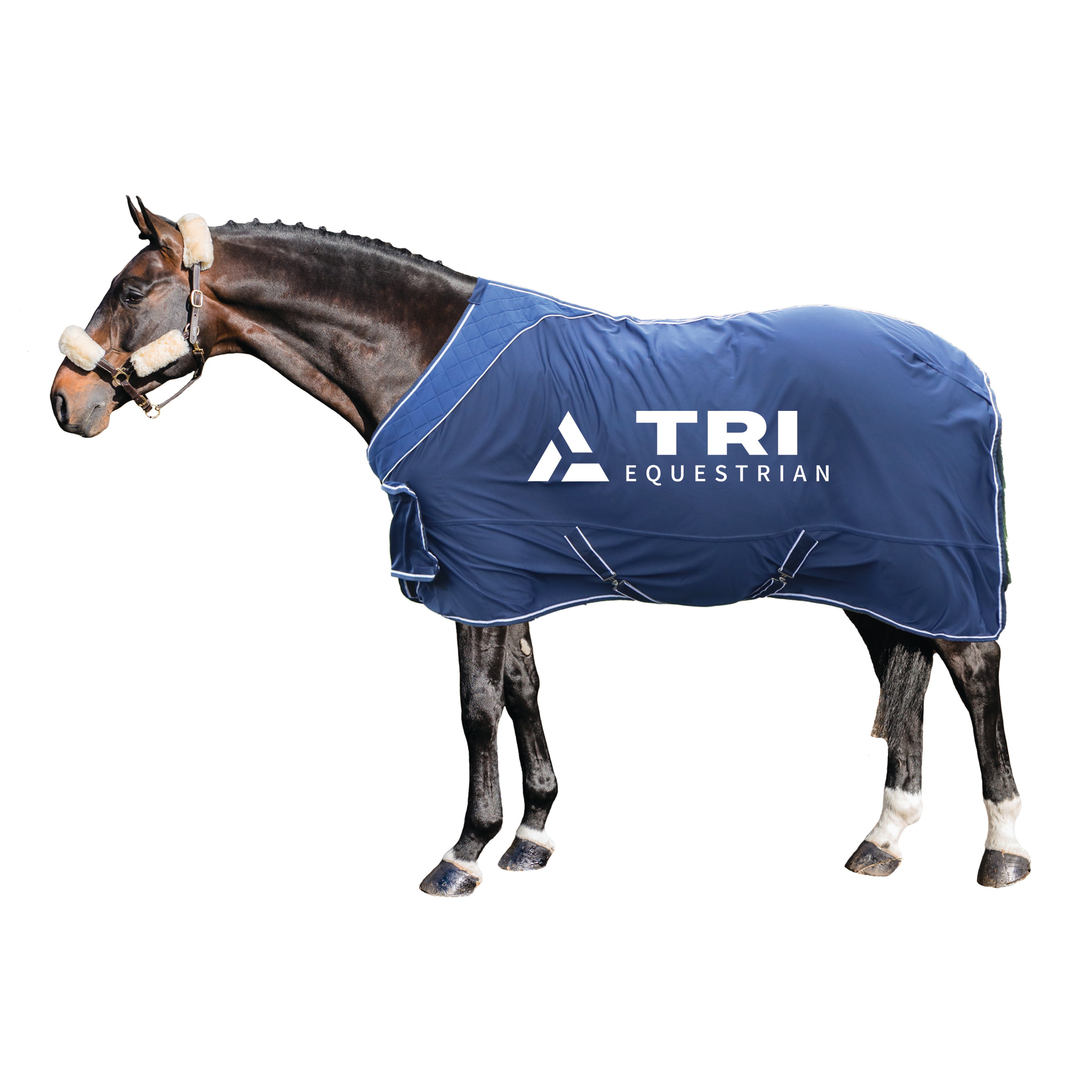 TRI Elite Logo Cooler Navy – TRI Equestrian