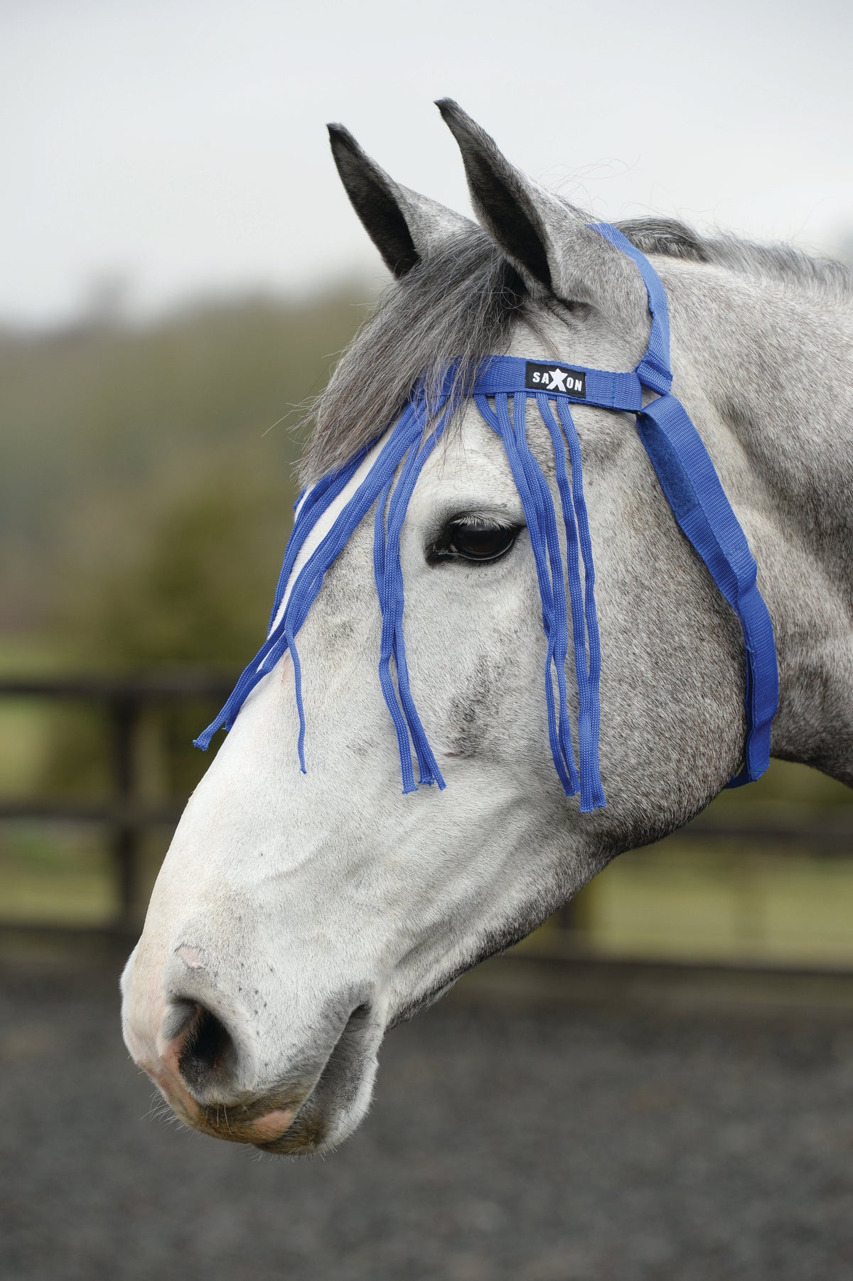 Saxon Fly Fringe Blue — TRI Equestrian