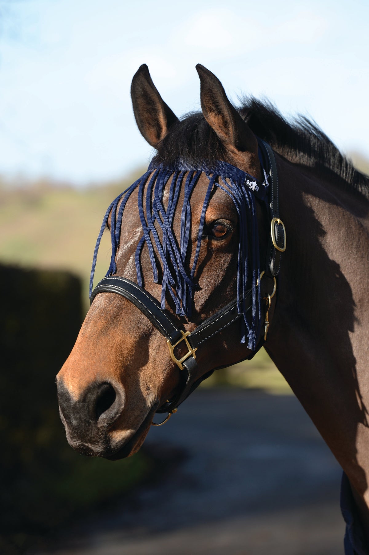 Saxon Fly Fringe - Navy — TRI Equestrian